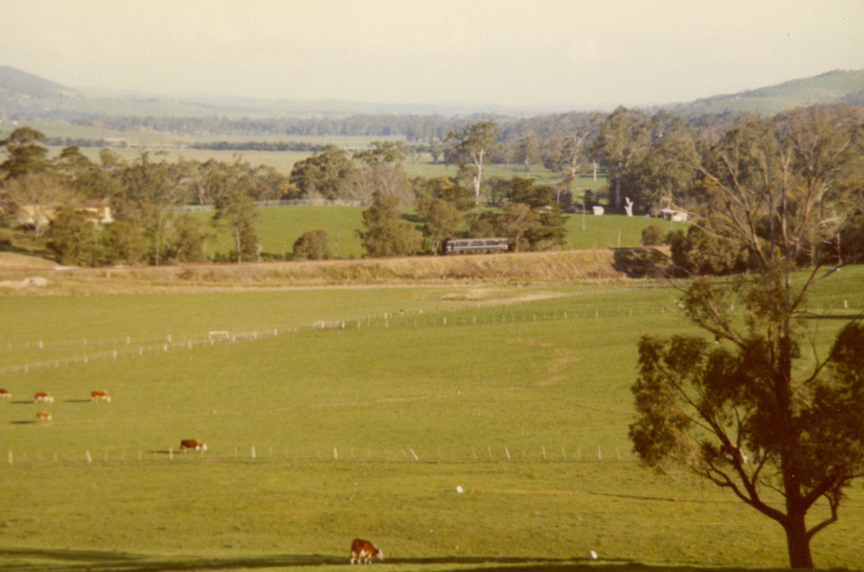 Weston Langford133859: Healesville Up Side on approach to tunnel 4 18 ...