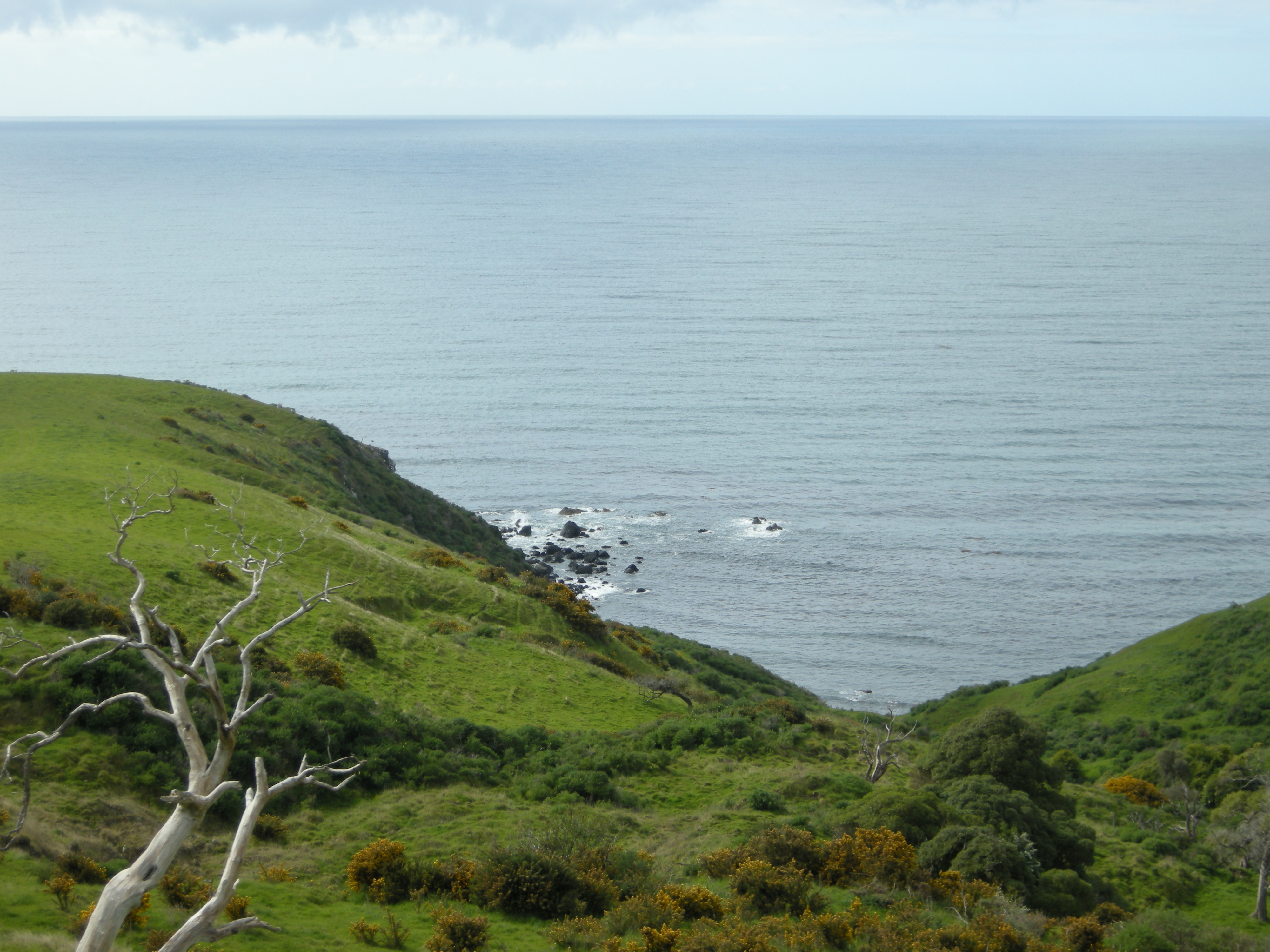 Weston Langford201553 View East To Pacific Ocean From Km 340 NZ South
